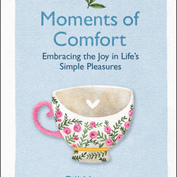NEW BOOK - Moments of Comfort: Embracing the Joy in Life’s Simple ...